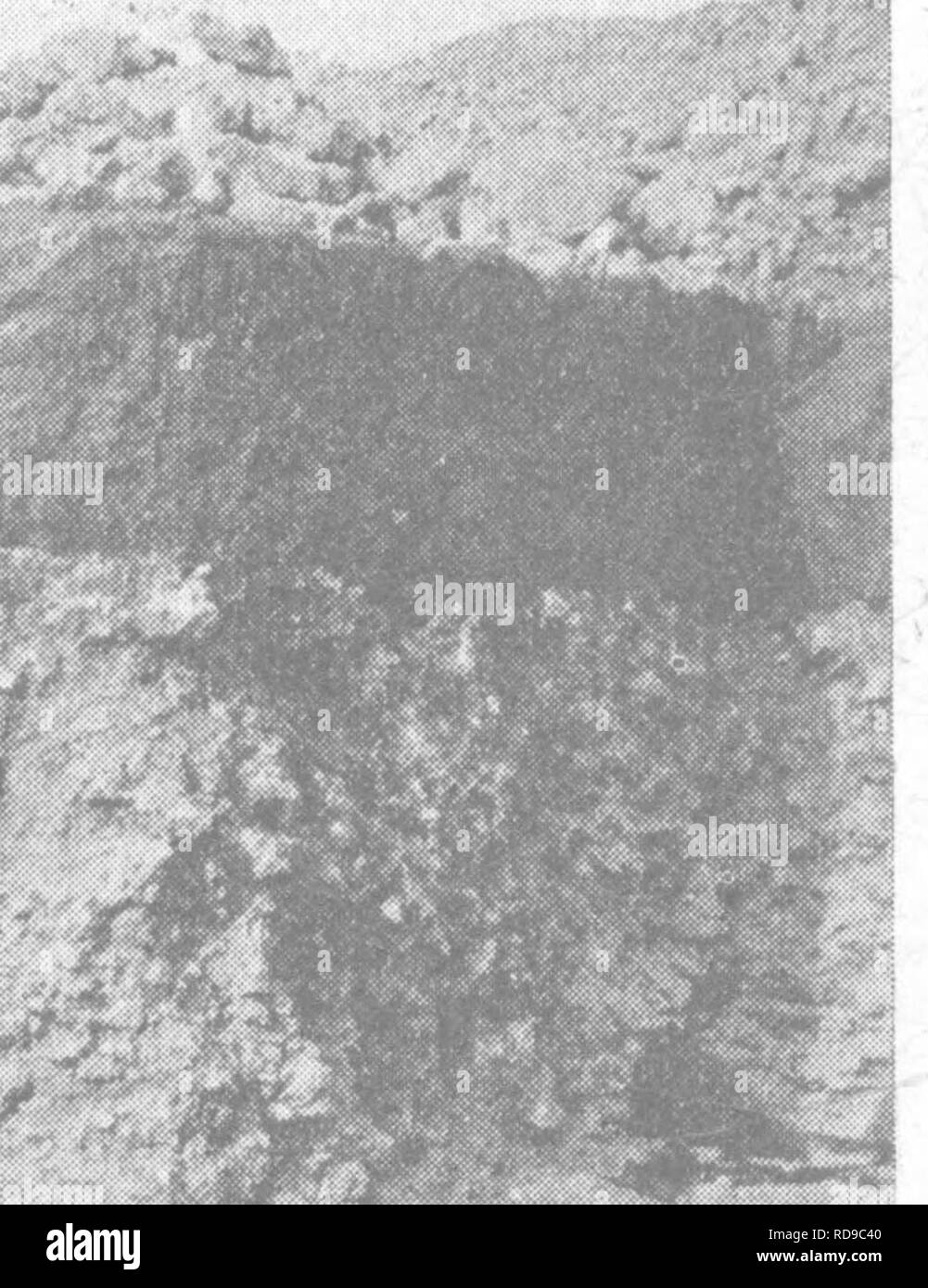 Rotten lime Black and White Stock Photos & Images - Alamy