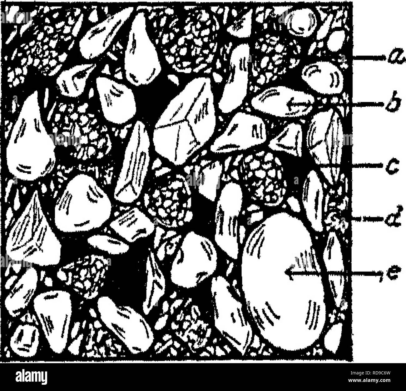 Soil Structure Granular