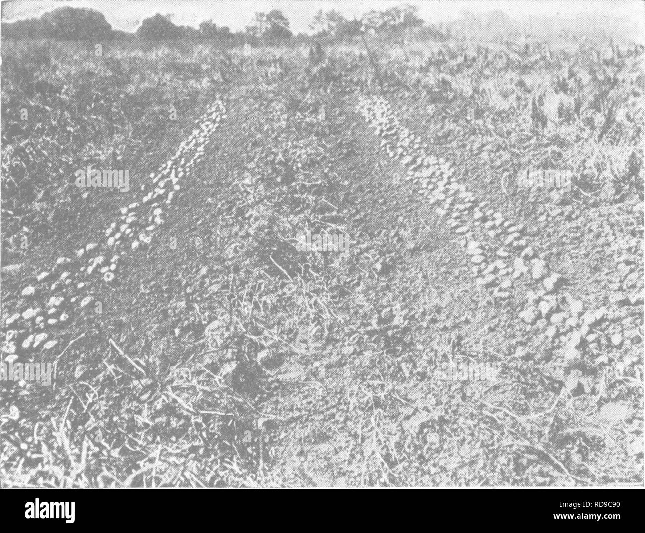 Helpful soil Black and White Stock Photos & Images - Alamy