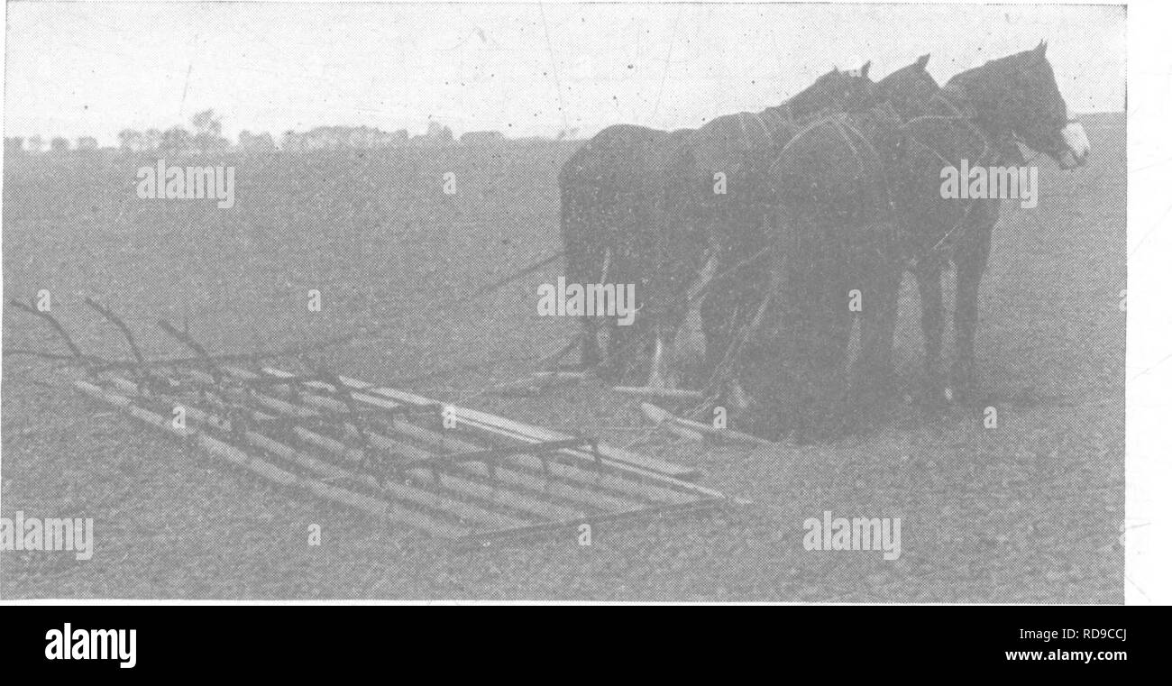 Lumpy soil Black and White Stock Photos & Images - Alamy