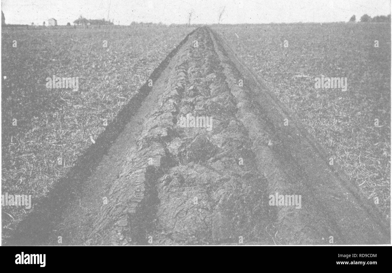 Hand plow Black and White Stock Photos & Images - Alamy