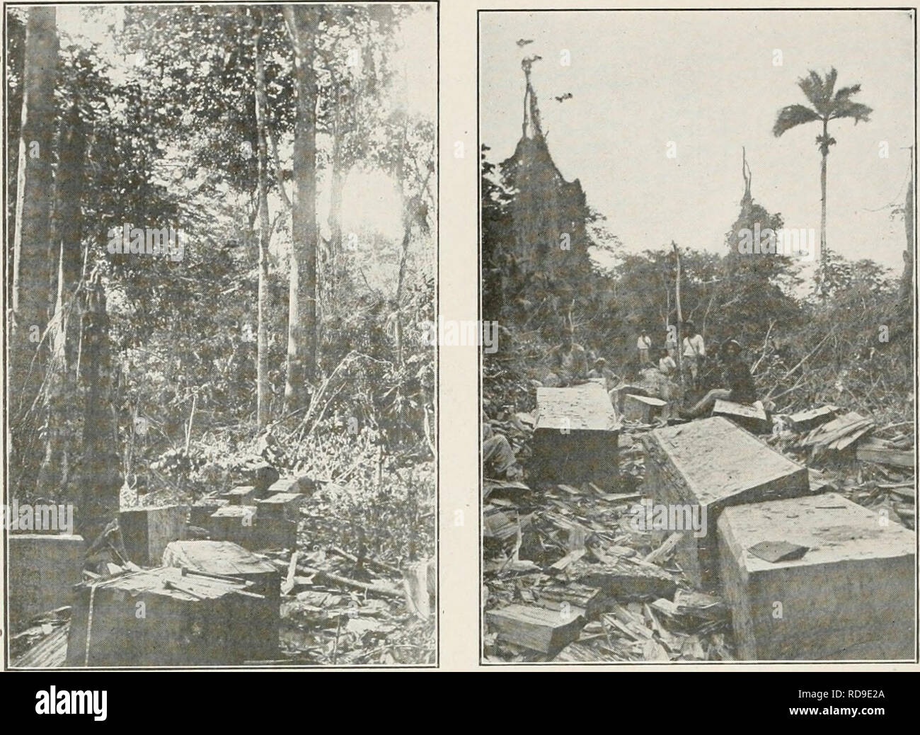 . The Cuba review. Cuba -- Periodicals. 14 THE CUBA REVIEW. Cigar Box ...