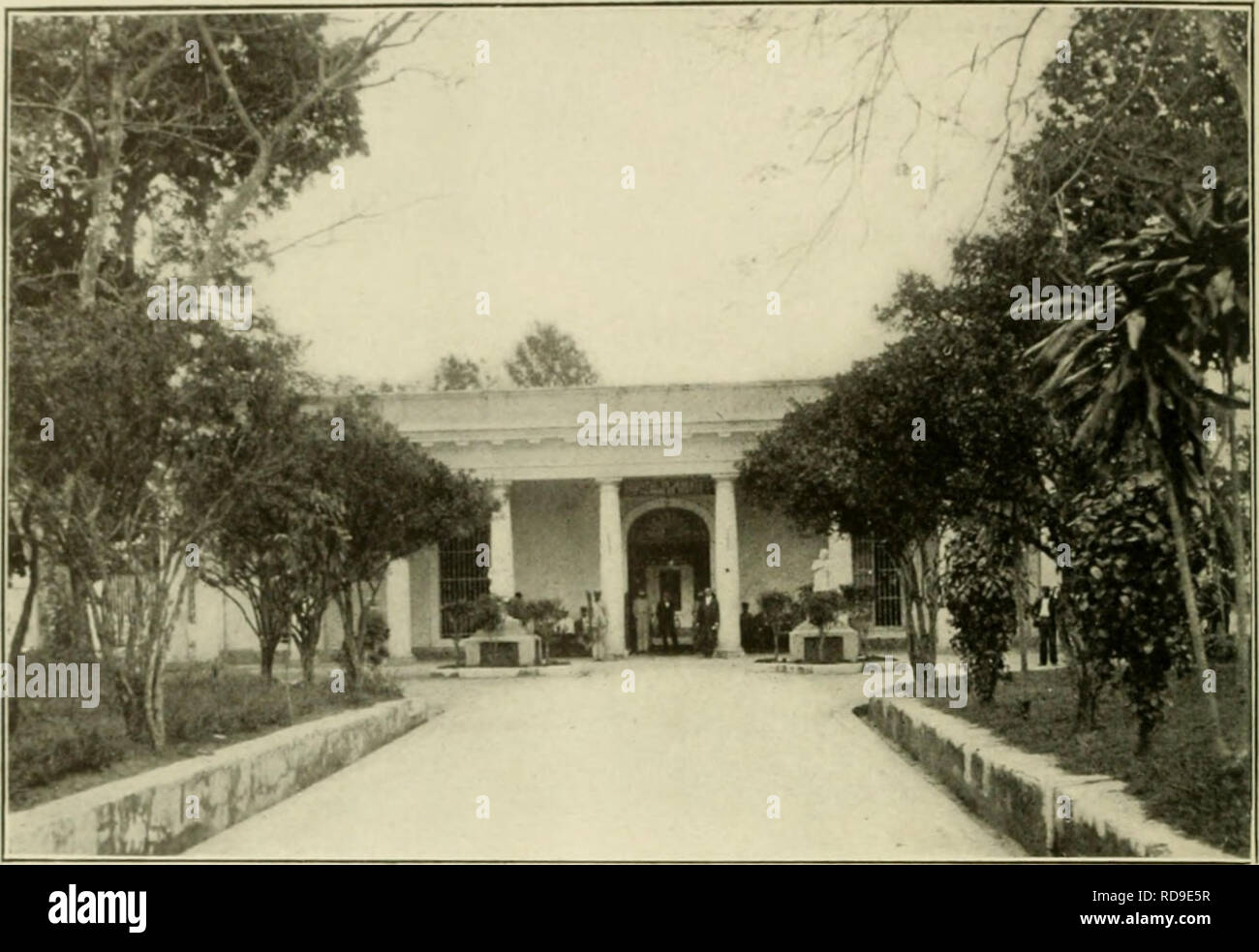 Weylers hi-res stock photography and images - Alamy