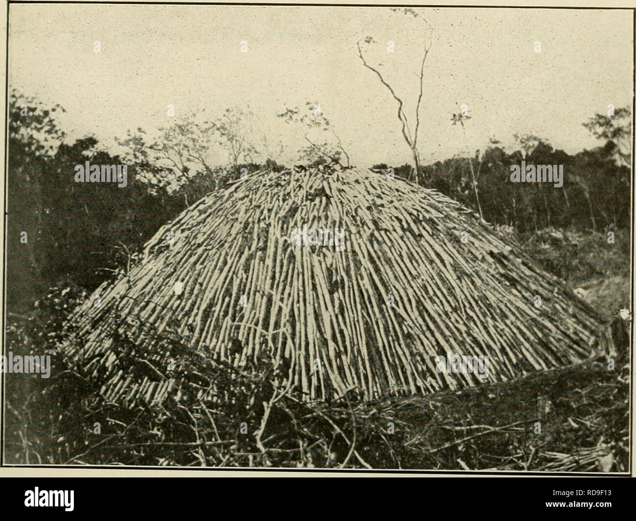 Large piles dry grass burn hi-res stock photography and images - Alamy