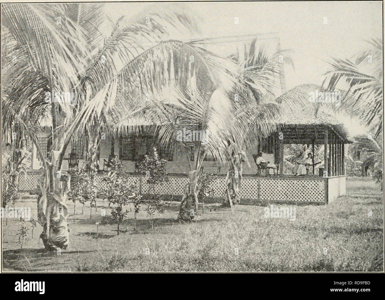 . The Cuba review. Cuba -- Periodicals. 26 THE CUBA REVIEW.. AMERICAN ...