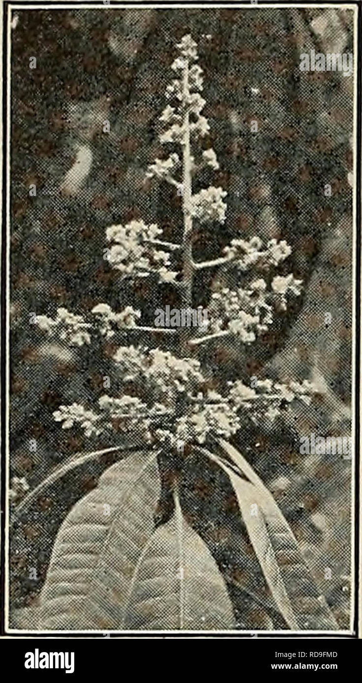 Shipments crates hi-res stock photography and images - Alamy