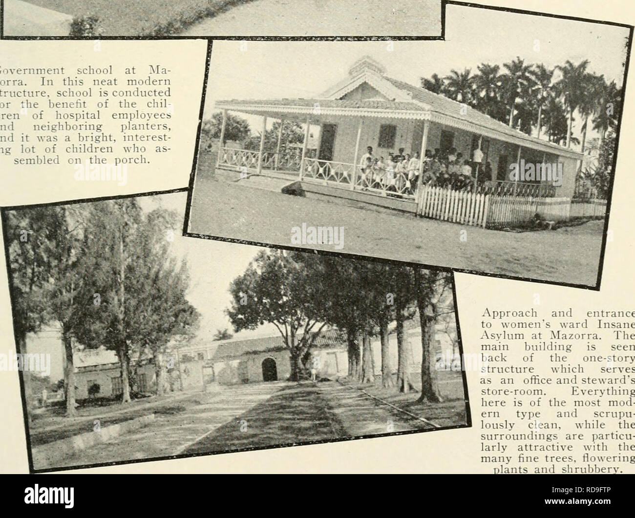 Mazorra hi-res stock photography and images - Alamy