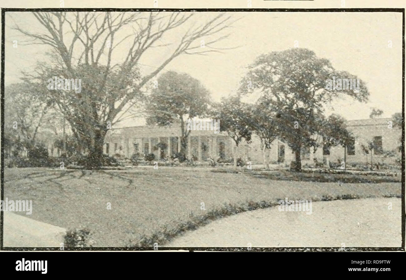 . The Cuba review. THE CUBA REVIEW 13 MAZORRA ASYLUM AT THE SECOND ...