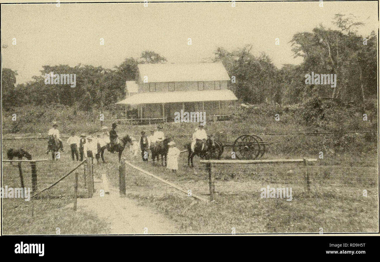 Swedish colonization hi-res stock photography and images - Alamy