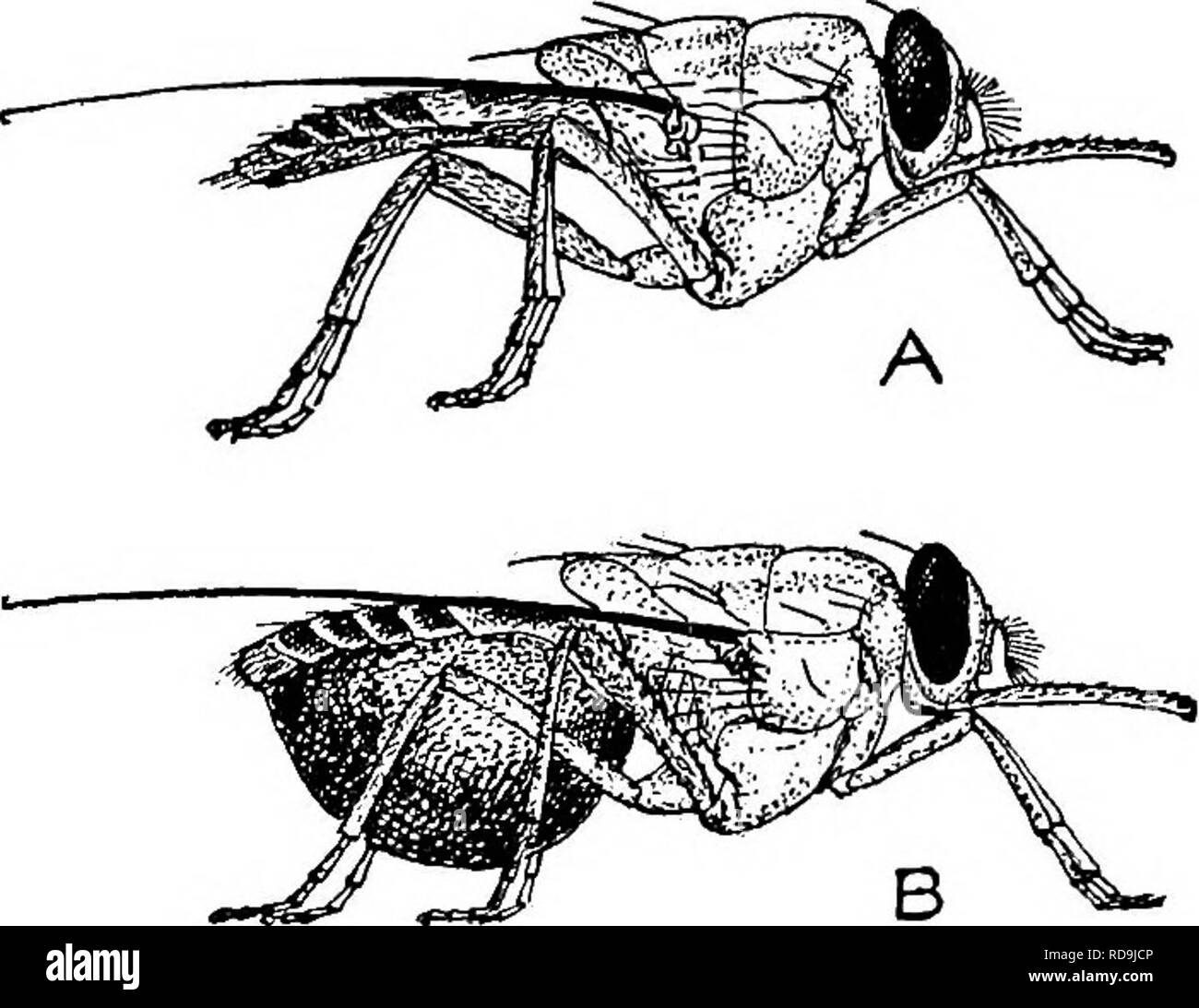 Spread human legs Black and White Stock Photos & Images - Alamy