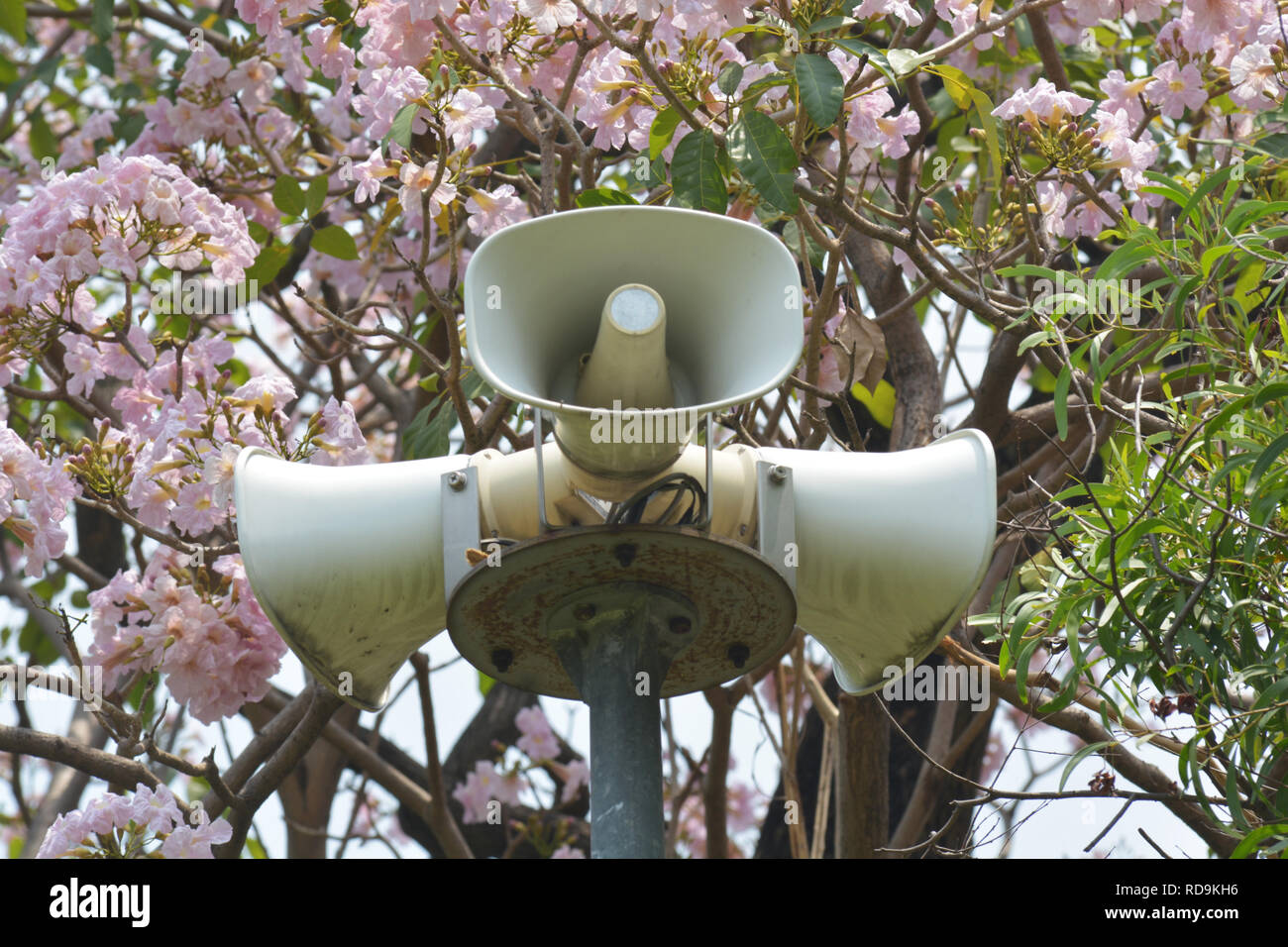 Transducer background hi-res stock photography and images - Alamy