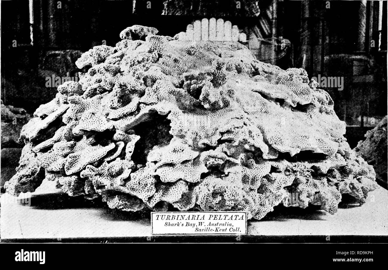 Dispatch trouble hi-res stock photography and images - Alamy