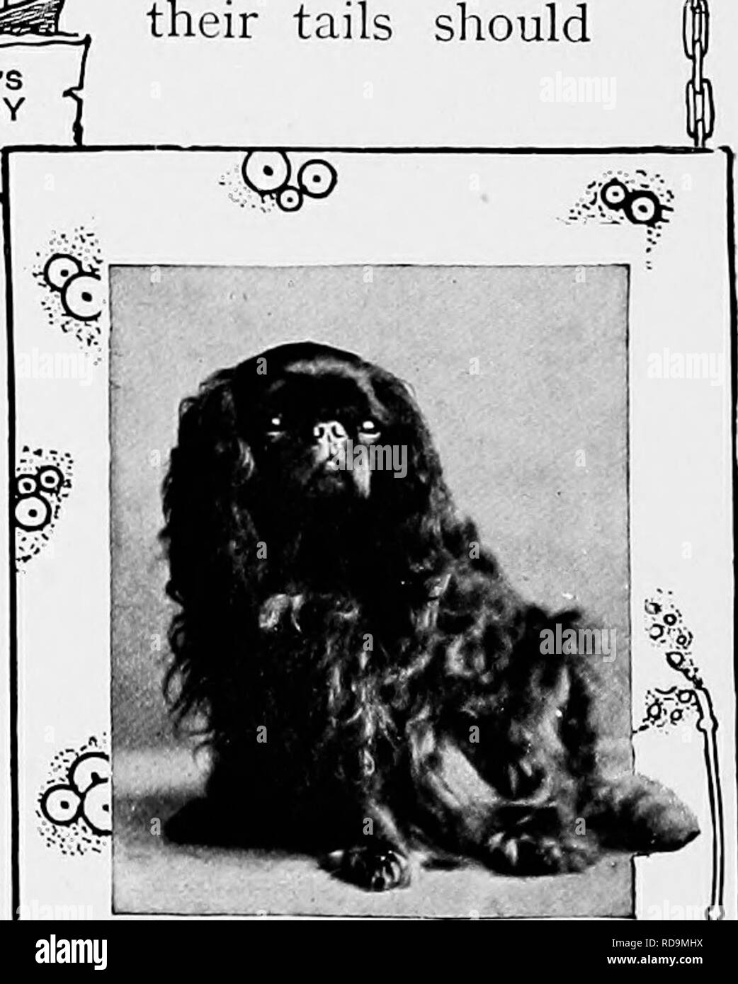 Ruby and tricolour hi-res stock photography and images - Alamy