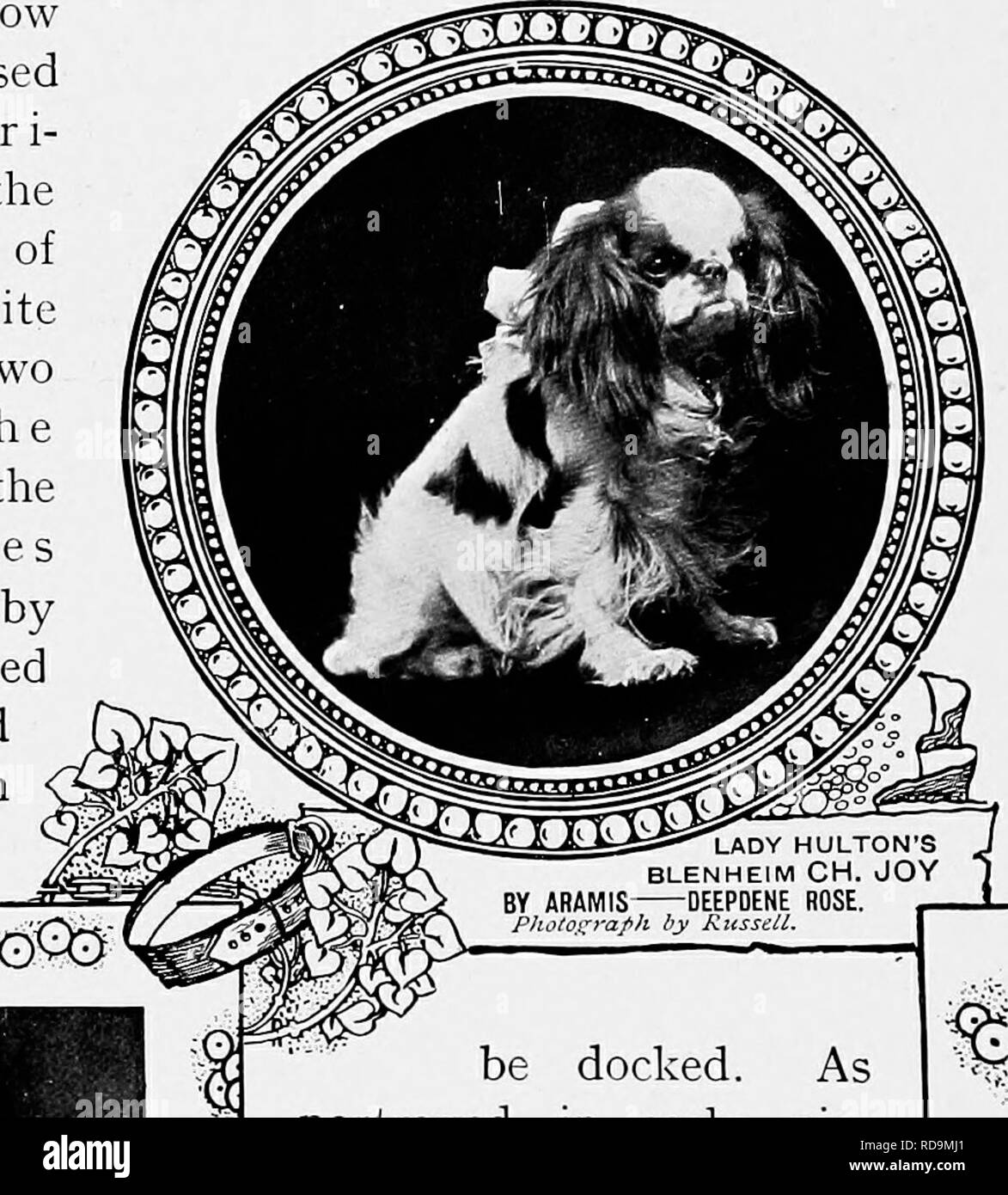 Ruby and tricolour hi-res stock photography and images - Alamy