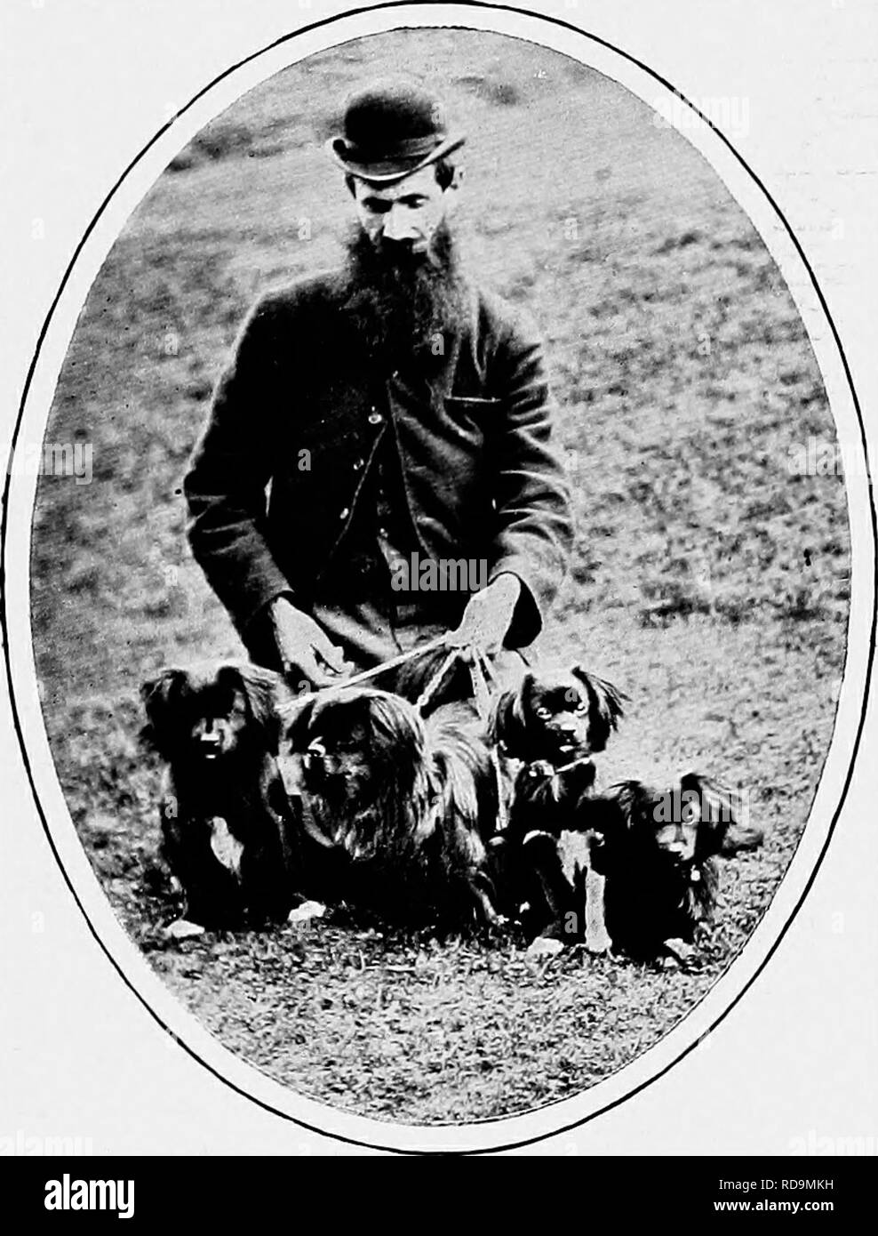 Next to morrisons hi-res stock photography and images - Alamy