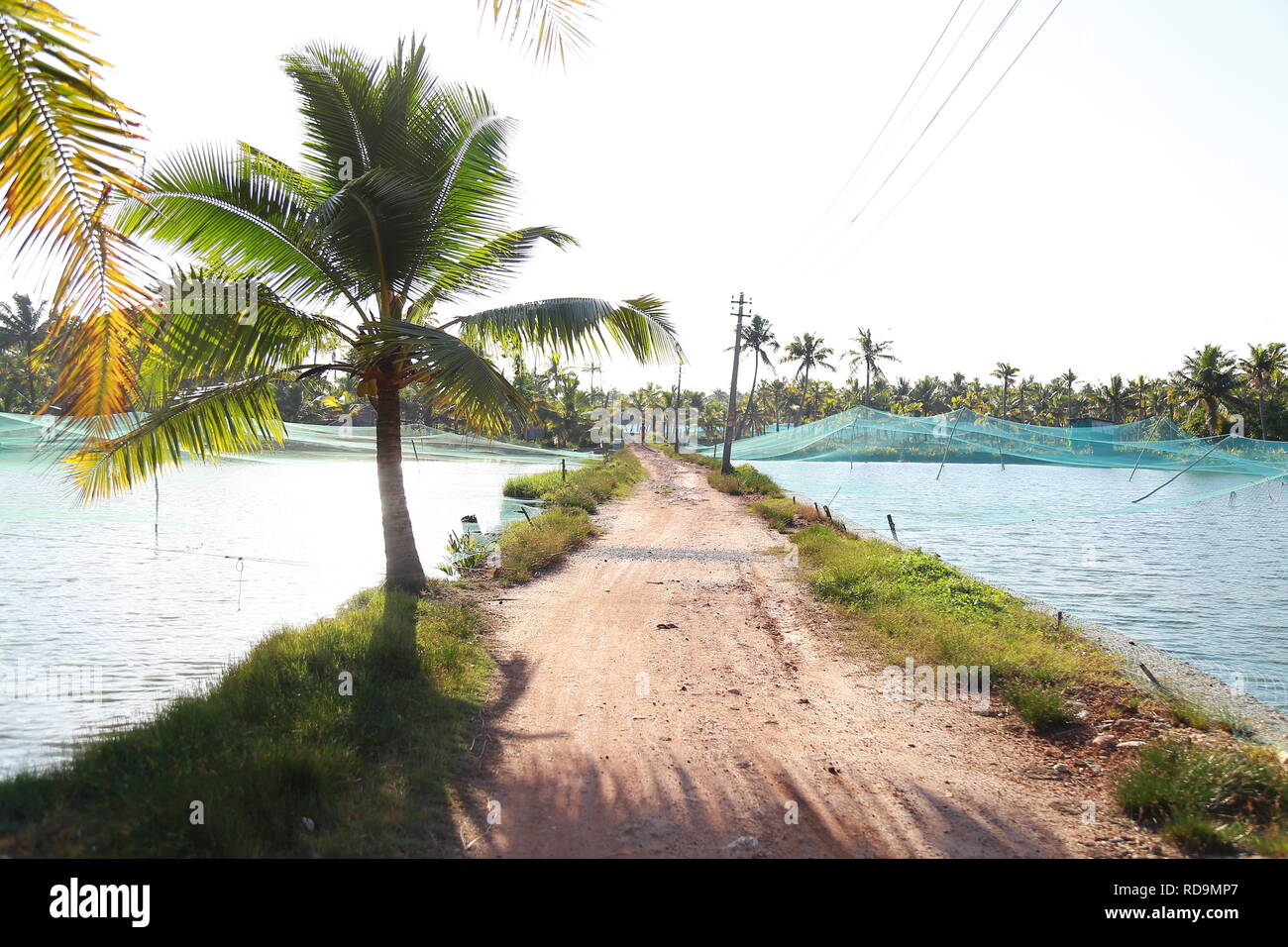 Indian fish farming hi-res stock photography and images - Alamy