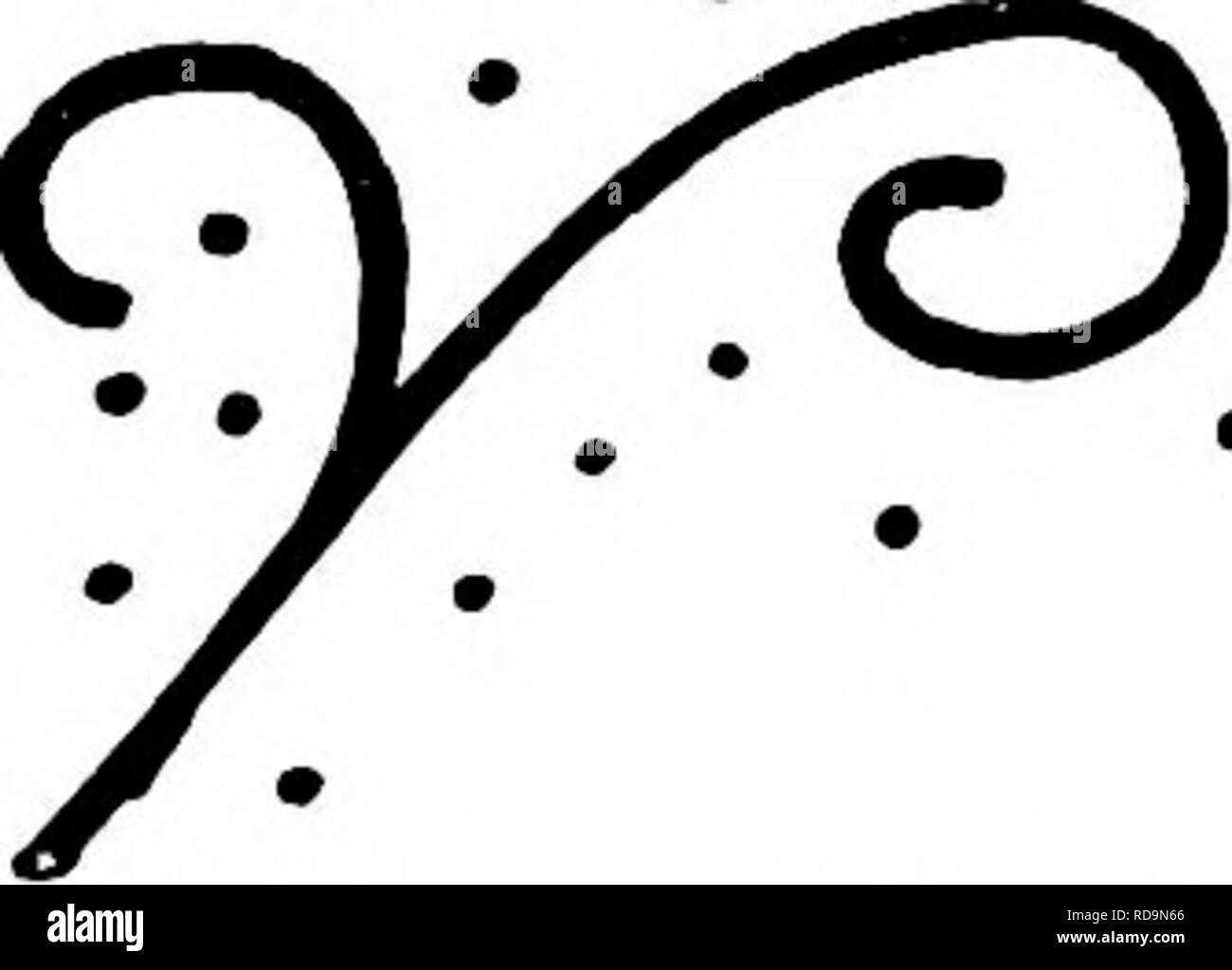 . The double-curve motive in northeastern Algonkian art. Algonquian ...