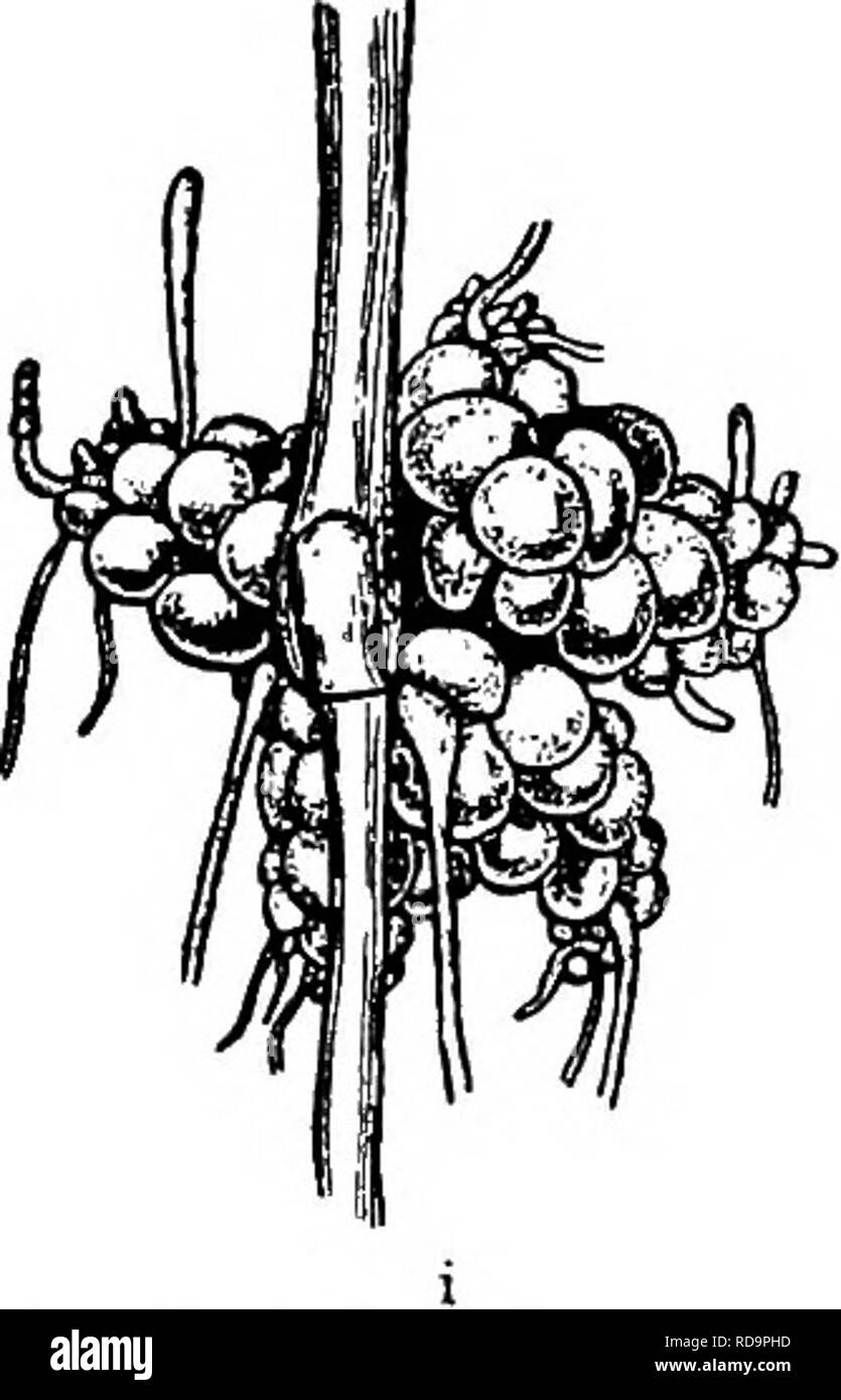 Dr e exterior hi-res stock photography and images - Alamy