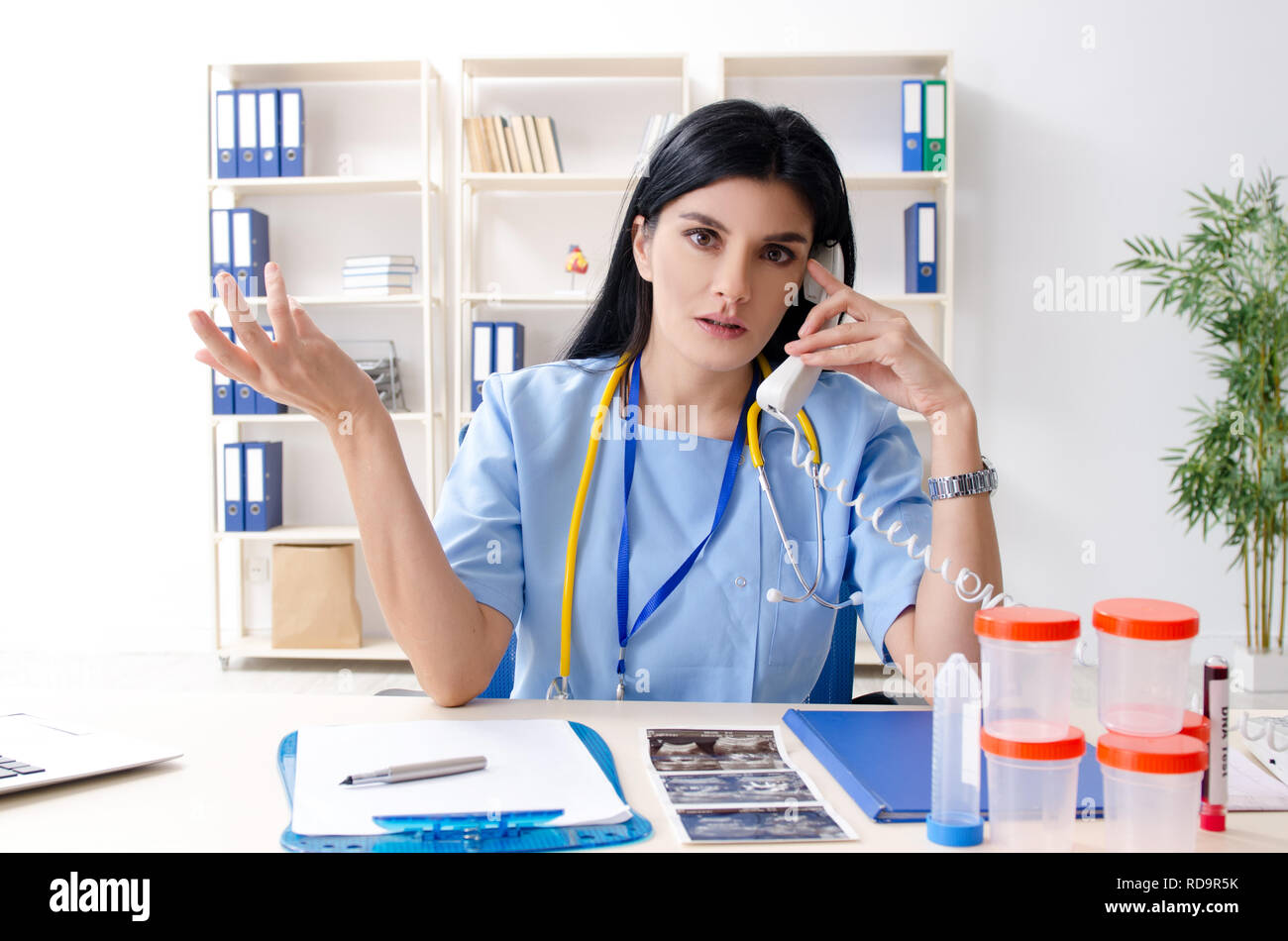 Female doctor gynecologist working in the clinic Stock Photo - Alamy