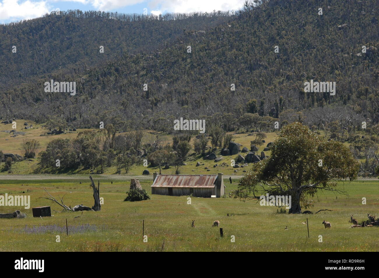 Historical orroral homestead hi-res stock photography and images - Alamy