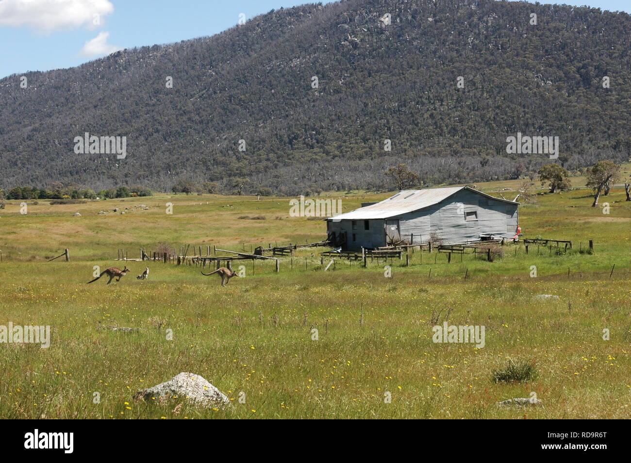 Historical orroral homestead hi-res stock photography and images - Alamy