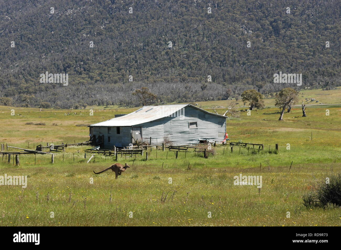 Historical orroral homestead hi-res stock photography and images - Alamy