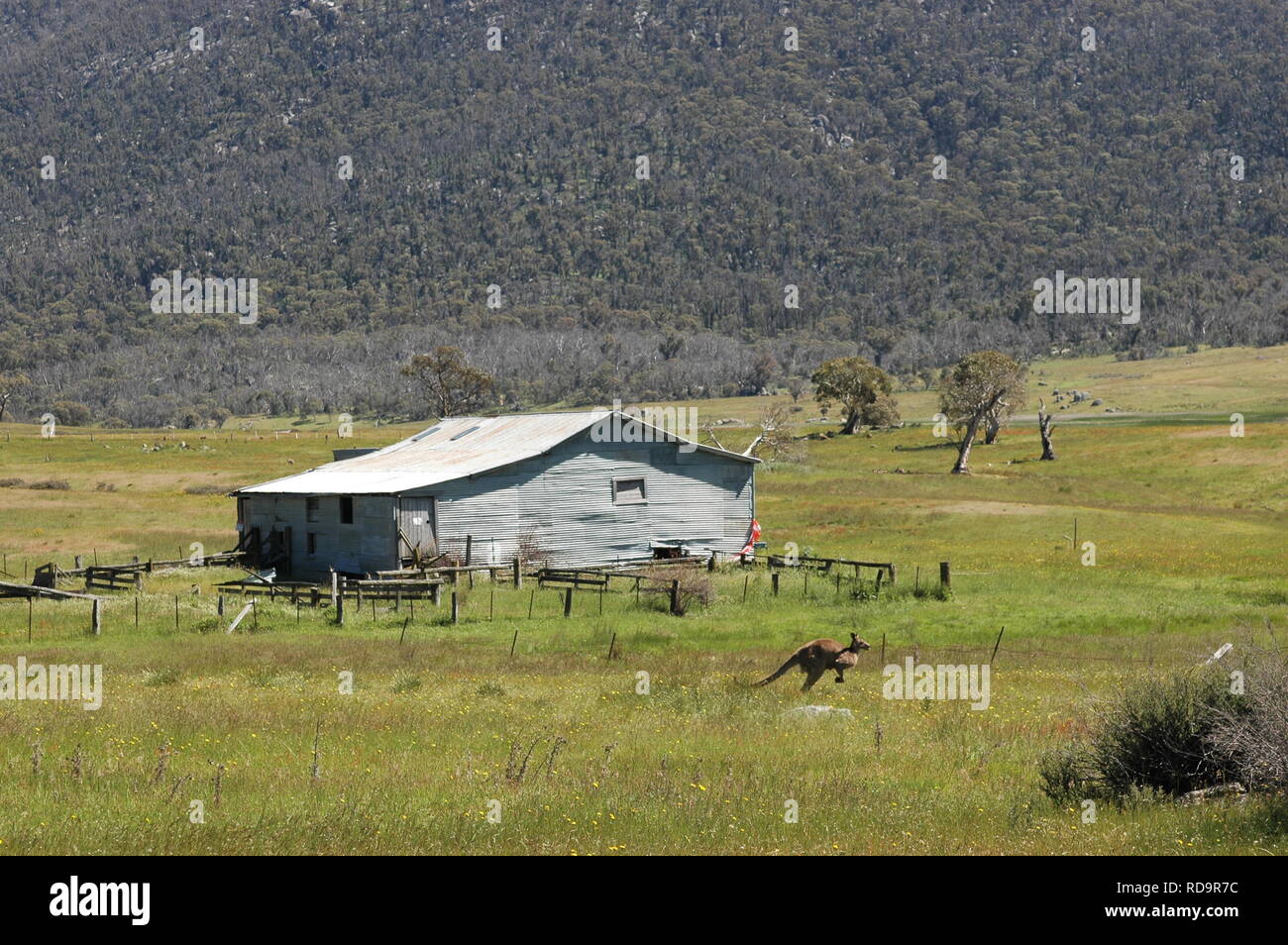Historical orroral homestead hi-res stock photography and images - Alamy