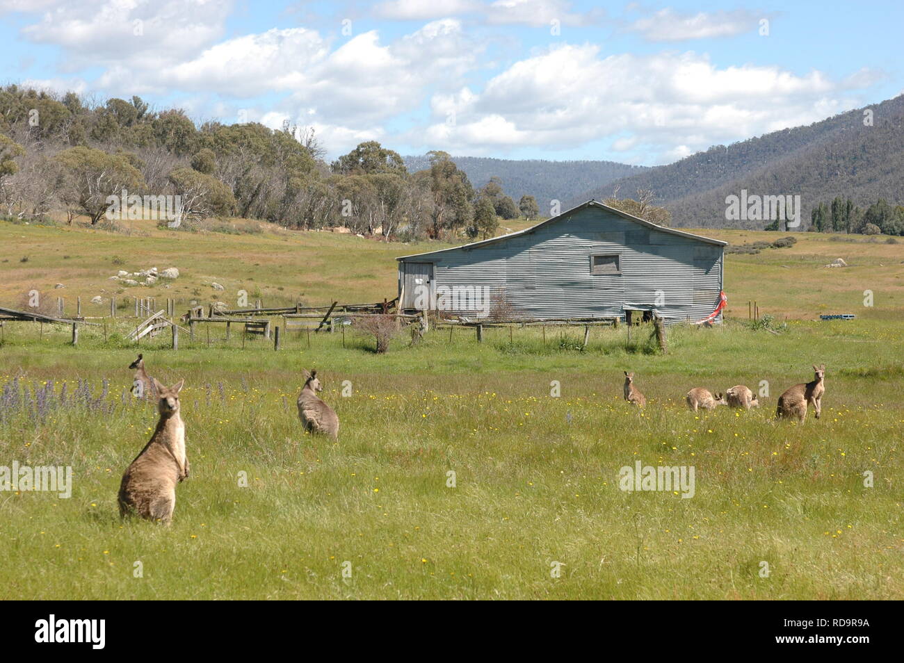 Historical orroral homestead hi-res stock photography and images - Alamy