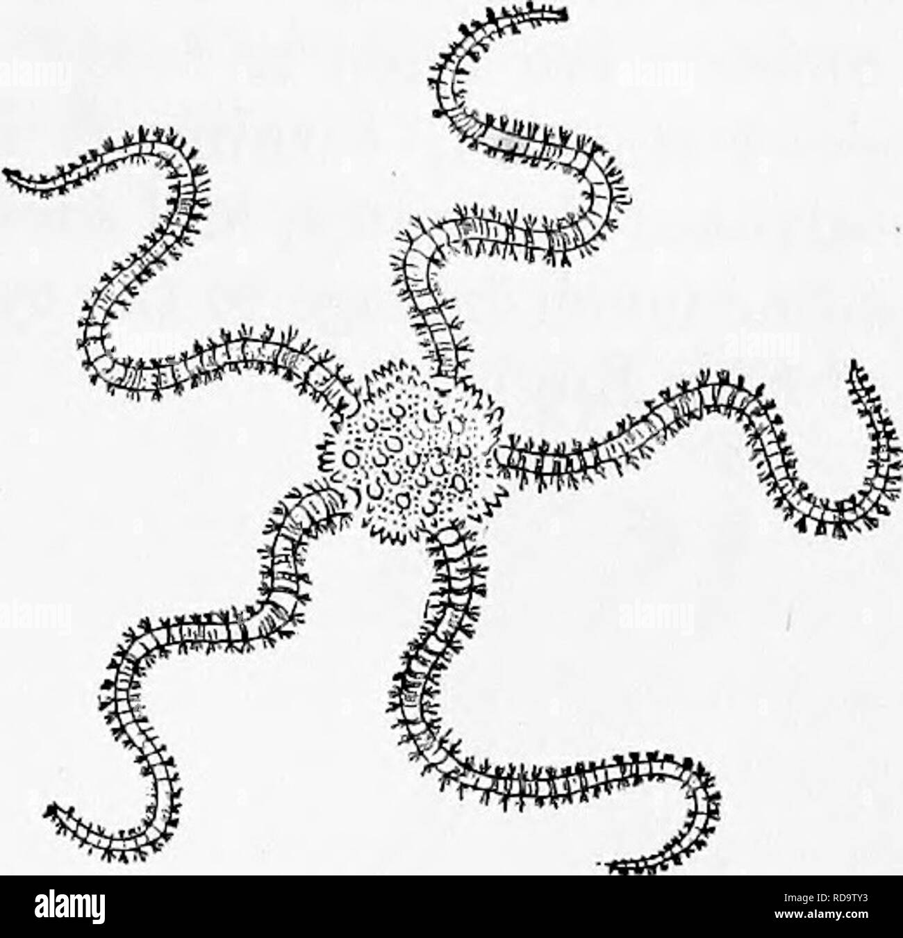 Tide marks Black and White Stock Photos & Images - Alamy