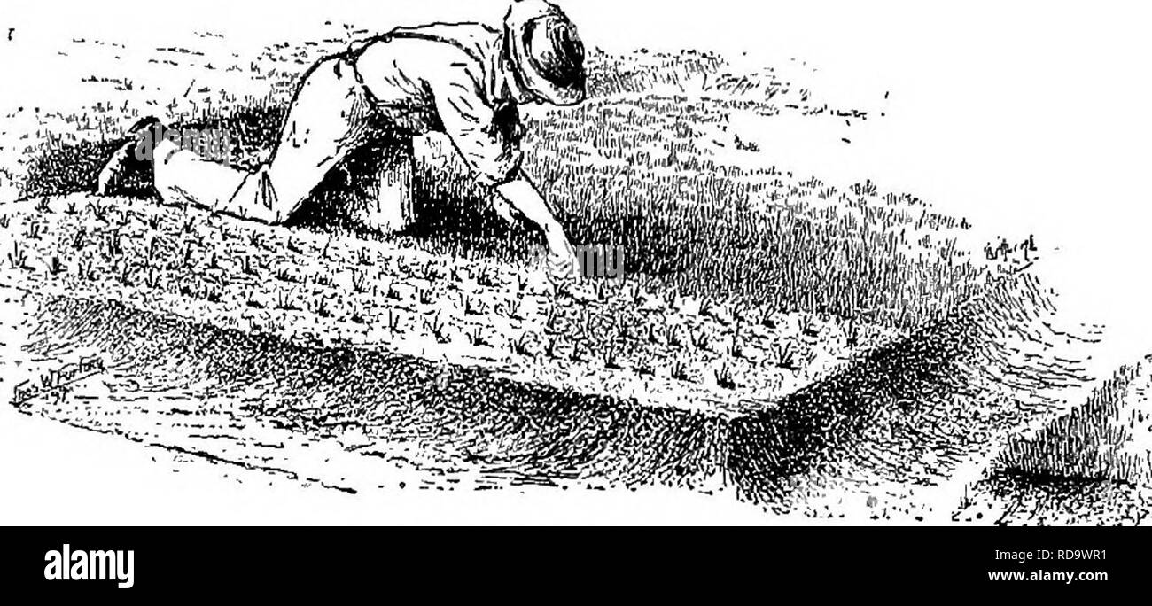 Soil tilling Black and White Stock Photos & Images - Alamy