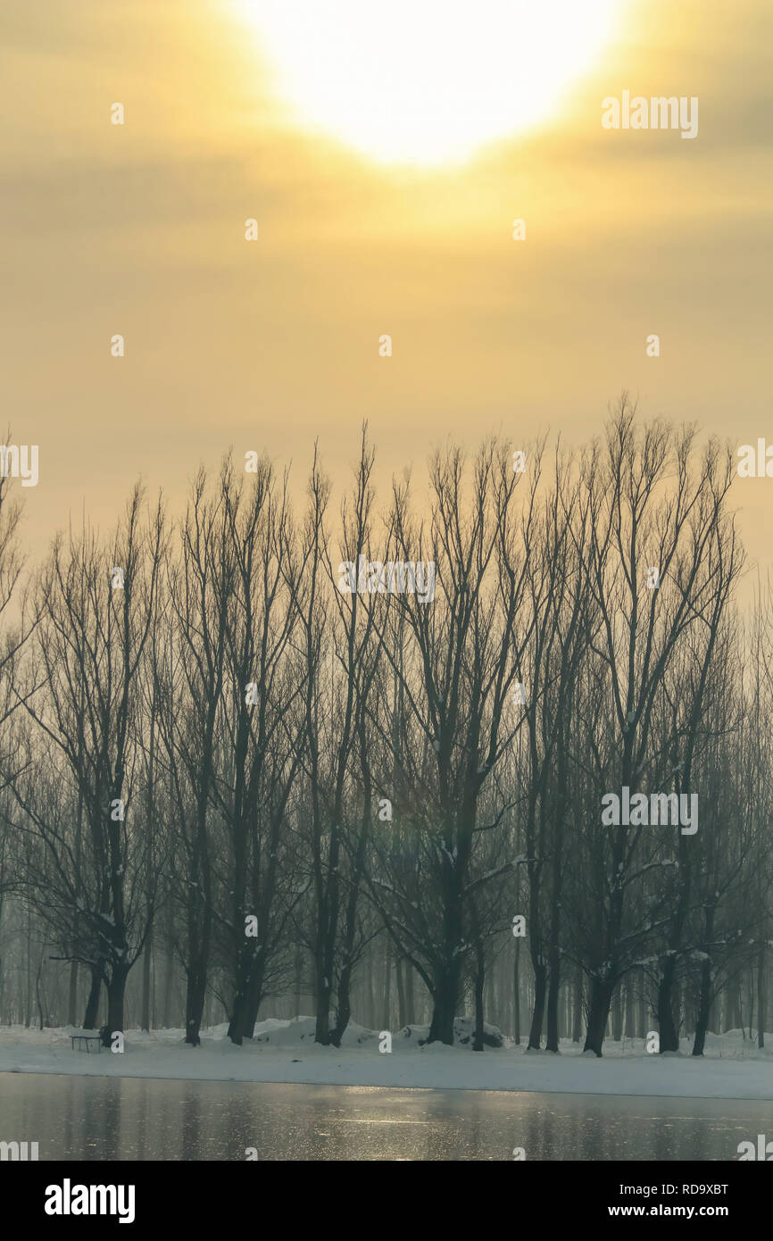 Frozen lake in forest winter sun, winter sun landscape Stock Photo - Alamy