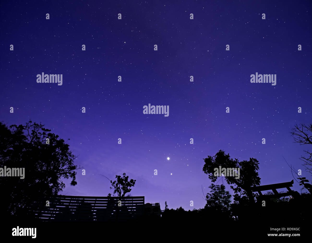 Astronomy Photo of Night Starry Sky Background with Silhouette ...