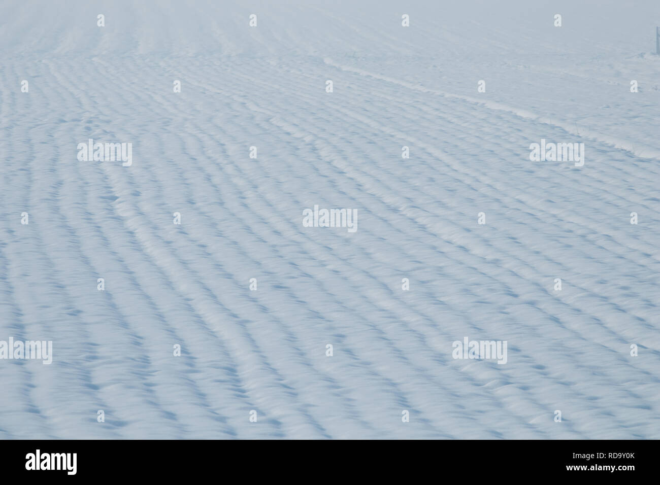 Grain field snow covered. Agriculture field under snow Stock Photo - Alamy