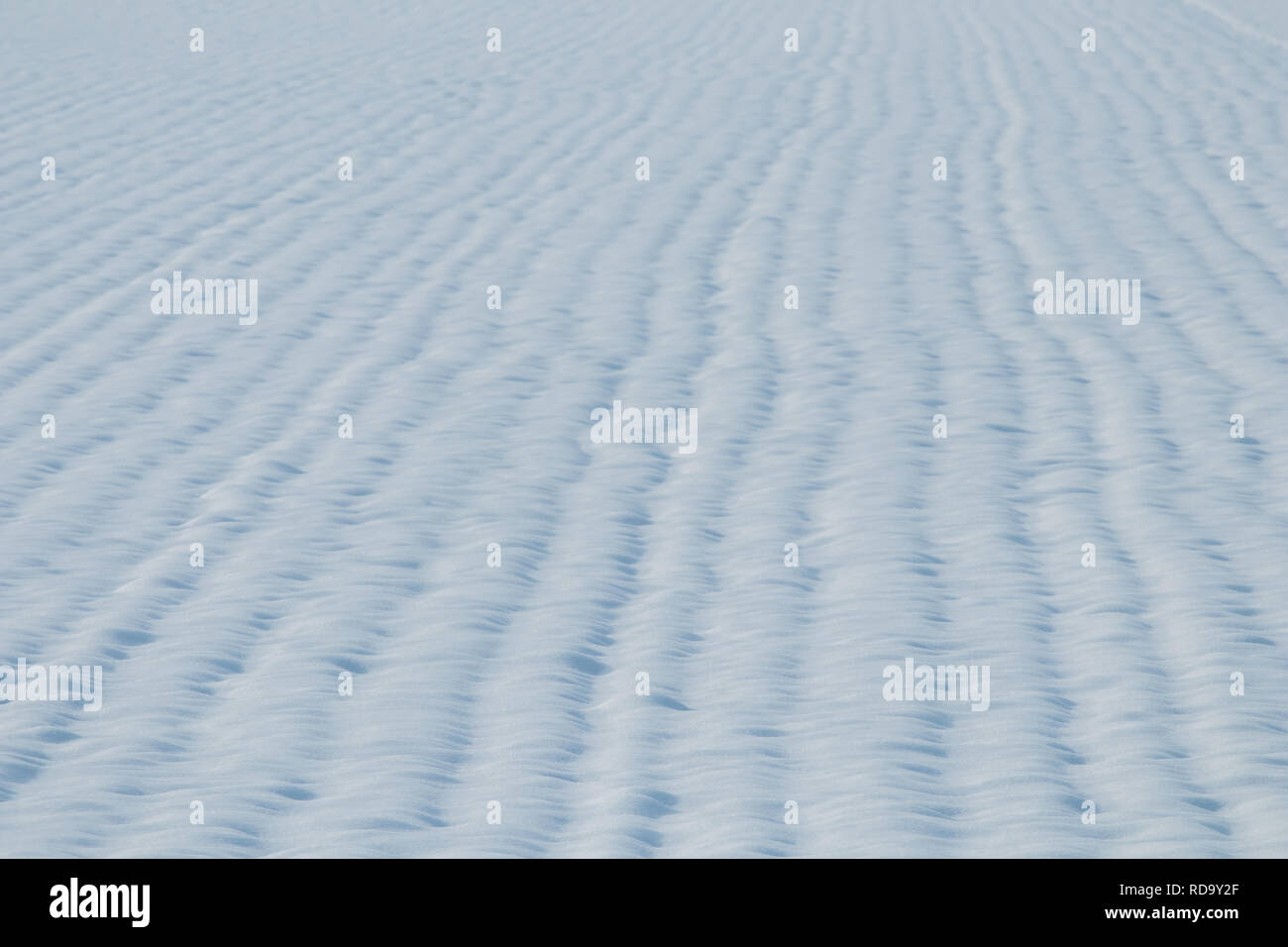 Grain field snow covered. Agriculture field under snow Stock Photo - Alamy
