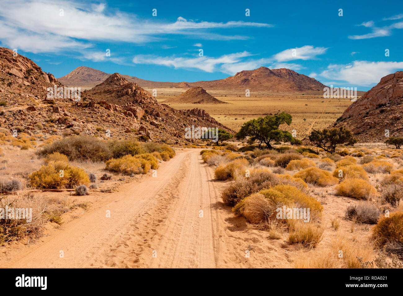 Namibia landscape with unprepared road leading to nowhere Stock Photo ...