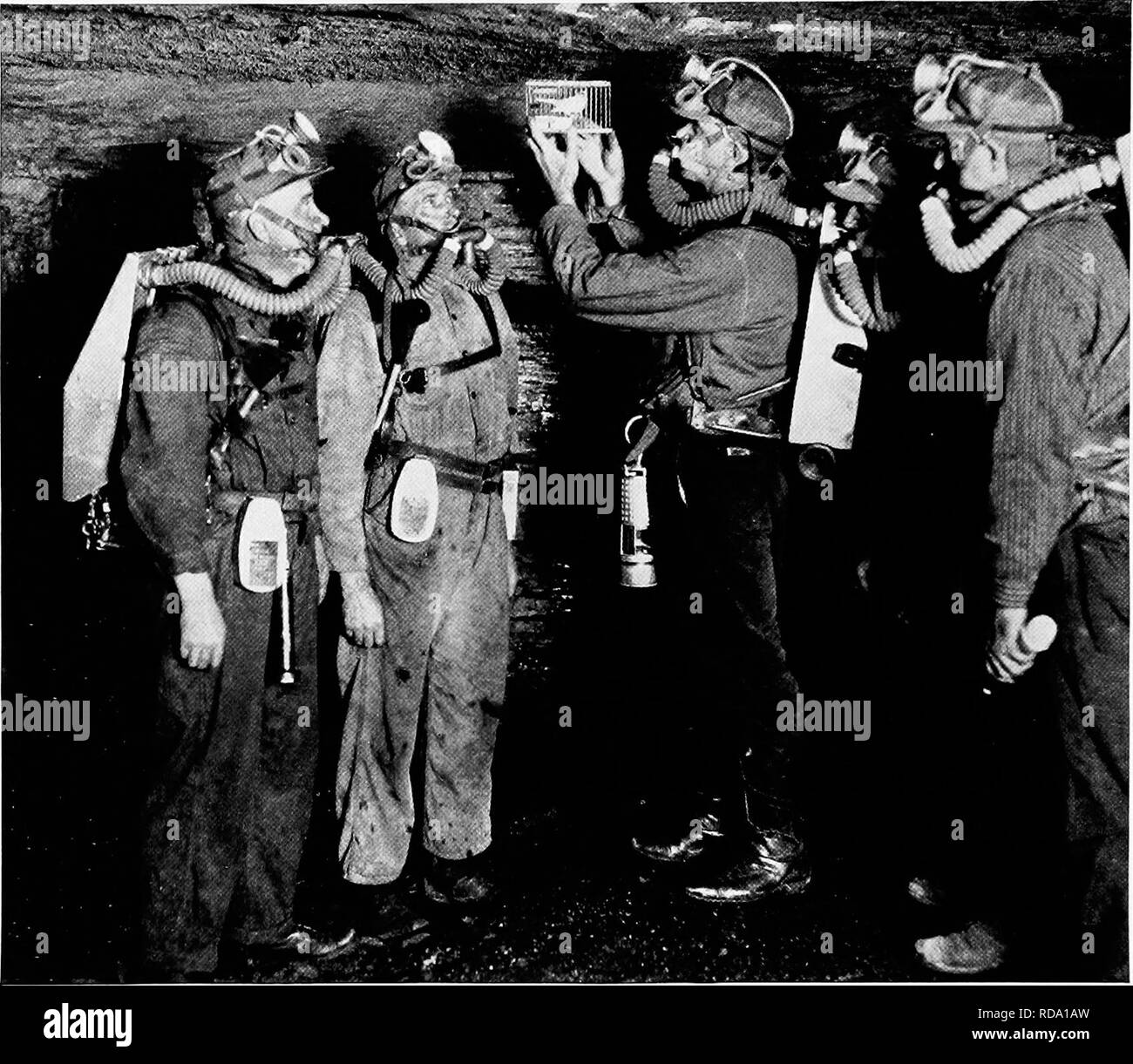 Coal Mines Underground Stock Photos & Coal Mines Underground Stock ...