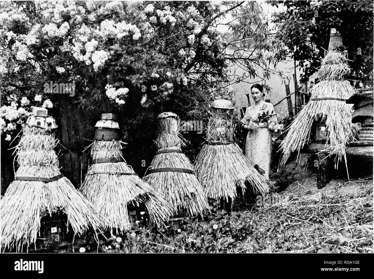 Wilhelm tobien hi-res stock photography and images - Alamy