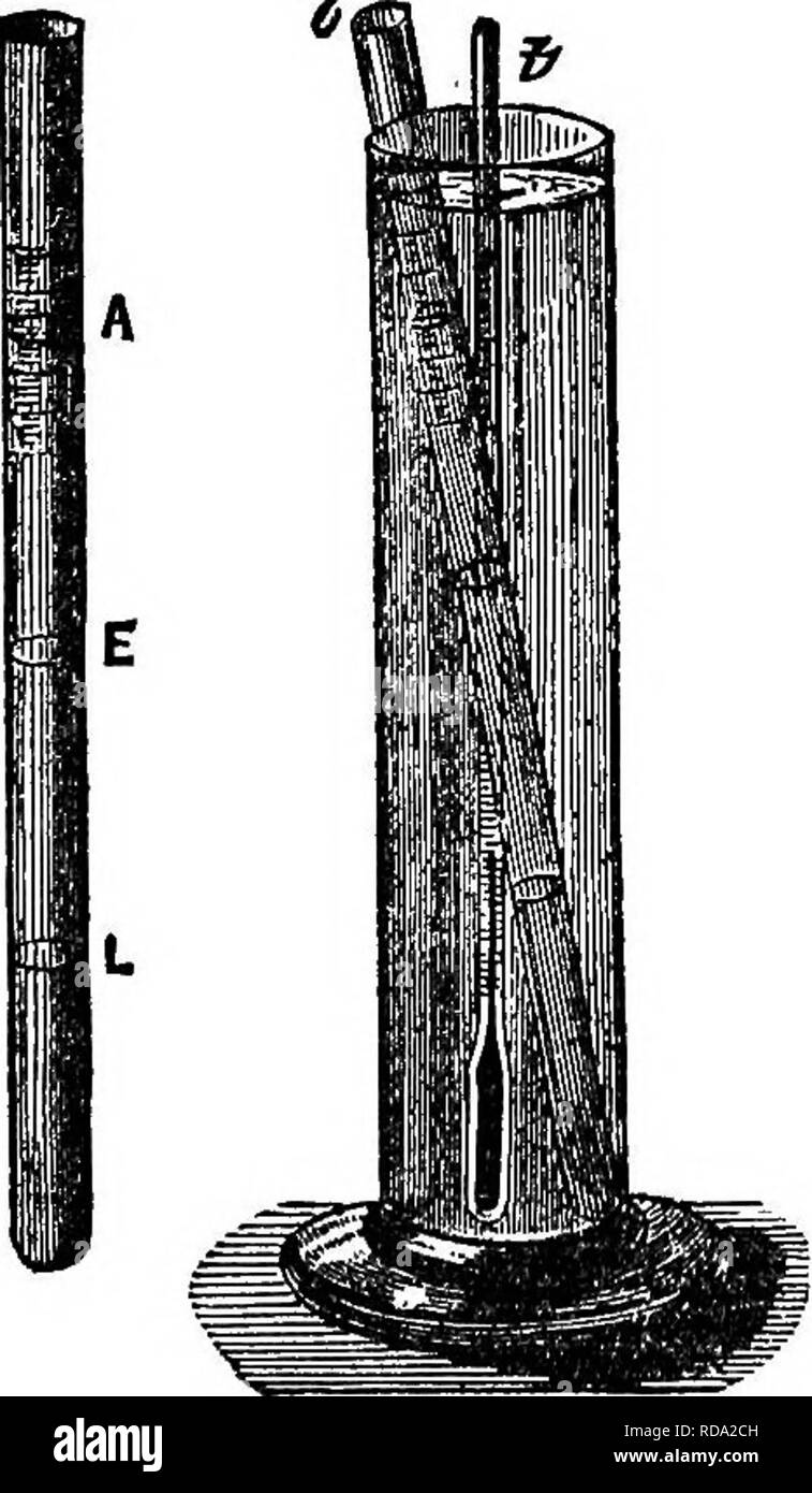 . Chemical and physical analysis of milk, condensed milk, and infants ...