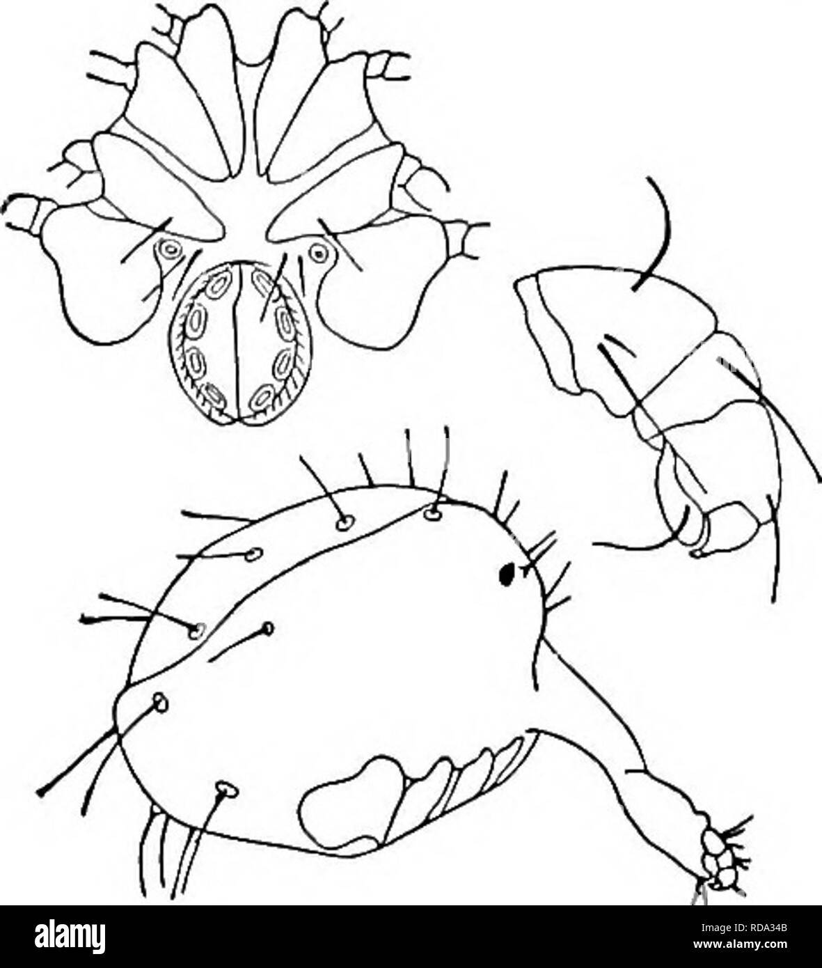 . Fresh-water biology. Freshwater biology. THE WATER-MITES (HYDRACARINA ...