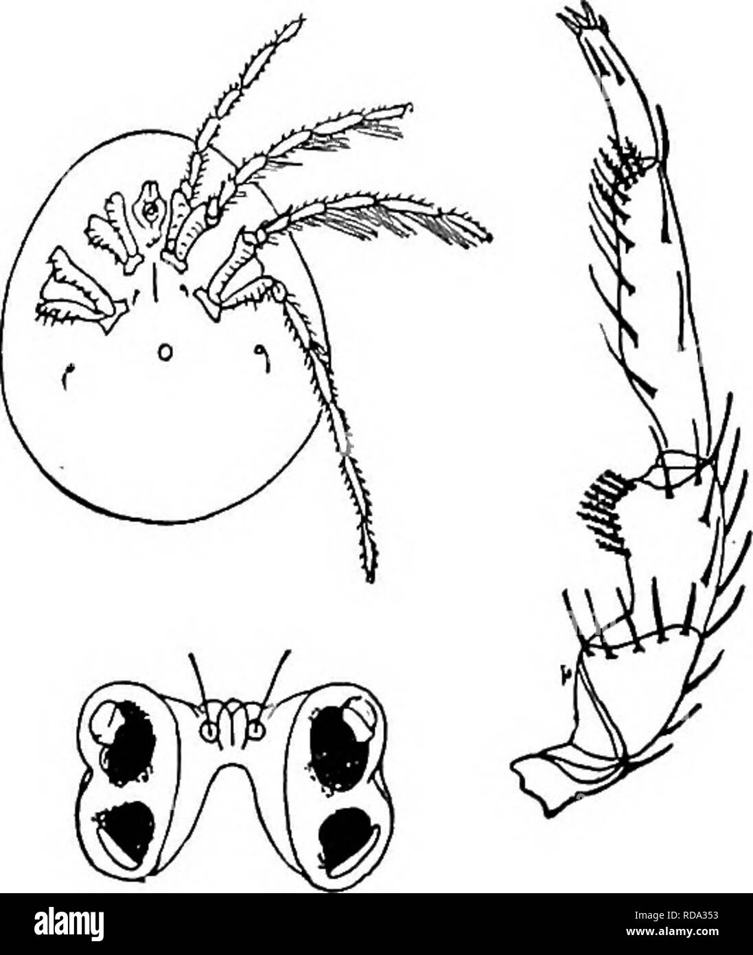 . Fresh-water biology. Freshwater biology. 86o FRESH-WATER BIOLOGY 5 (2 ...