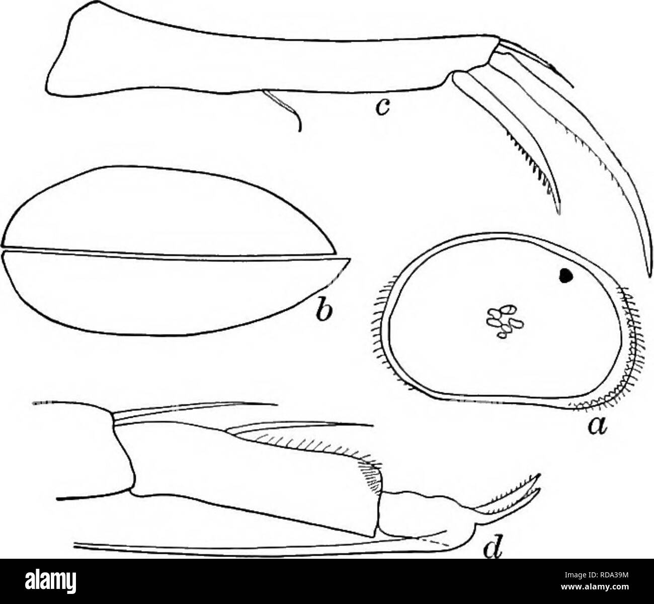 Width 820 mm hi-res stock photography and images - Alamy