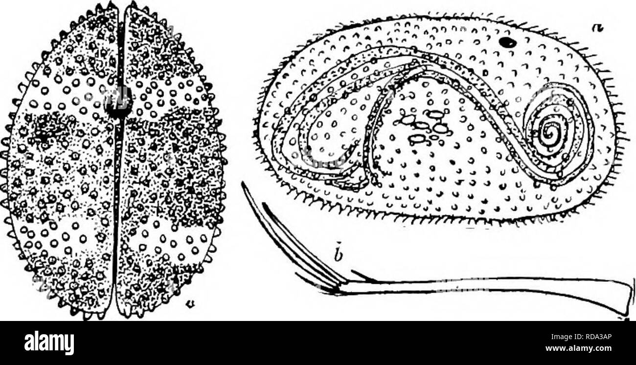 Height 53 mm hi-res stock photography and images - Alamy