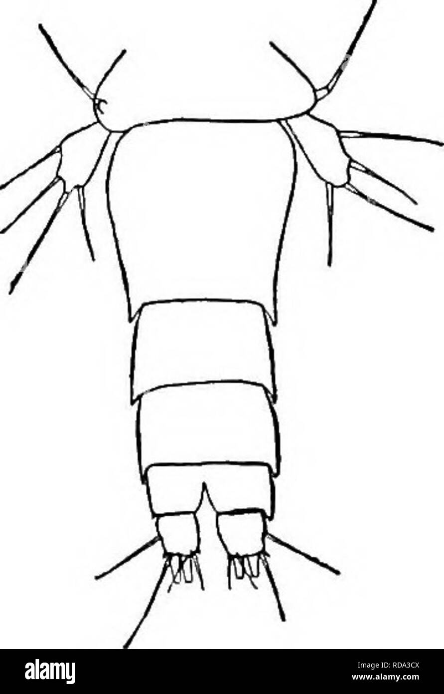 . Fresh-water biology. Freshwater biology. 78o FEESH-WATER BIOLOGY loi ...