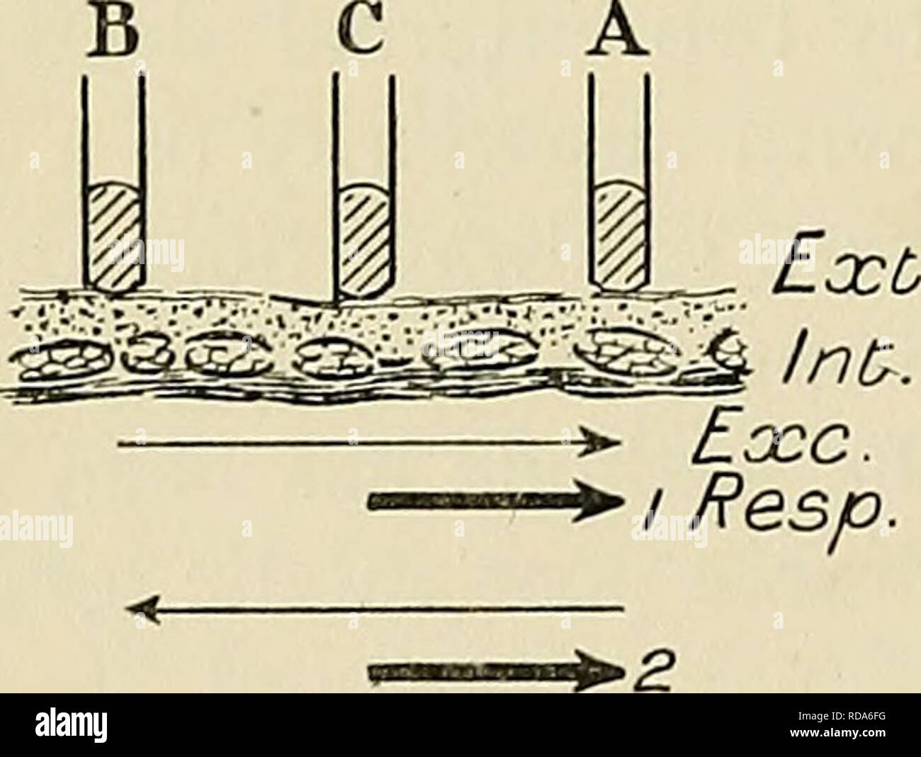. Eight lectures on the signs of life from their electrical aspect ...