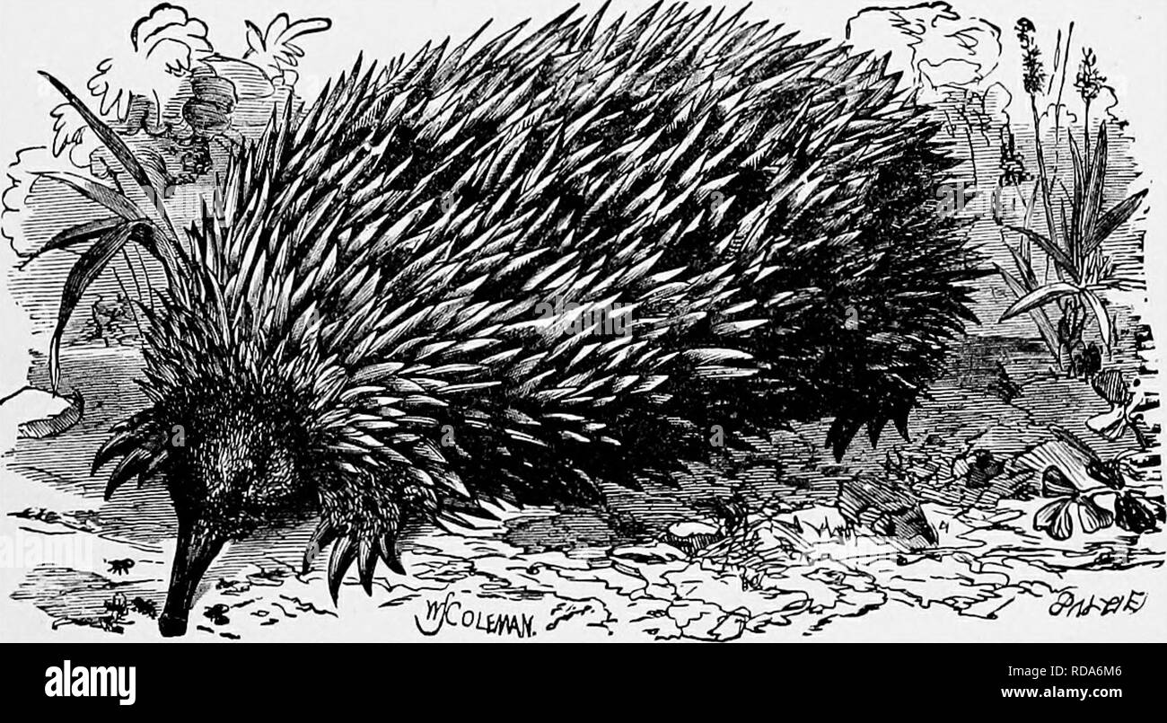 Sensitive drawings hi-res stock photography and images - Alamy