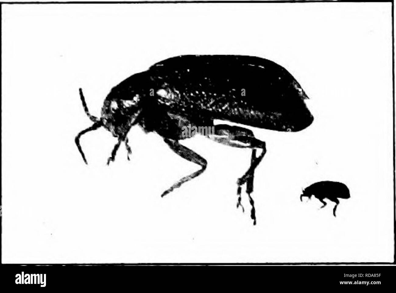 Paris ground control hi-res stock photography and images - Alamy