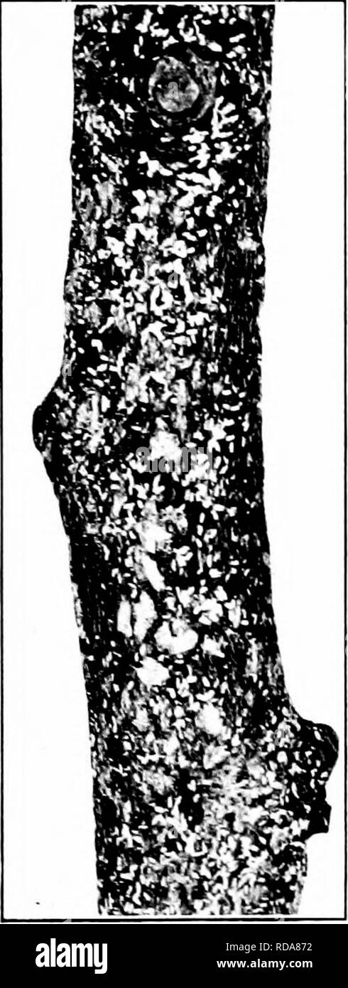 Insect hut Black and White Stock Photos & Images - Alamy