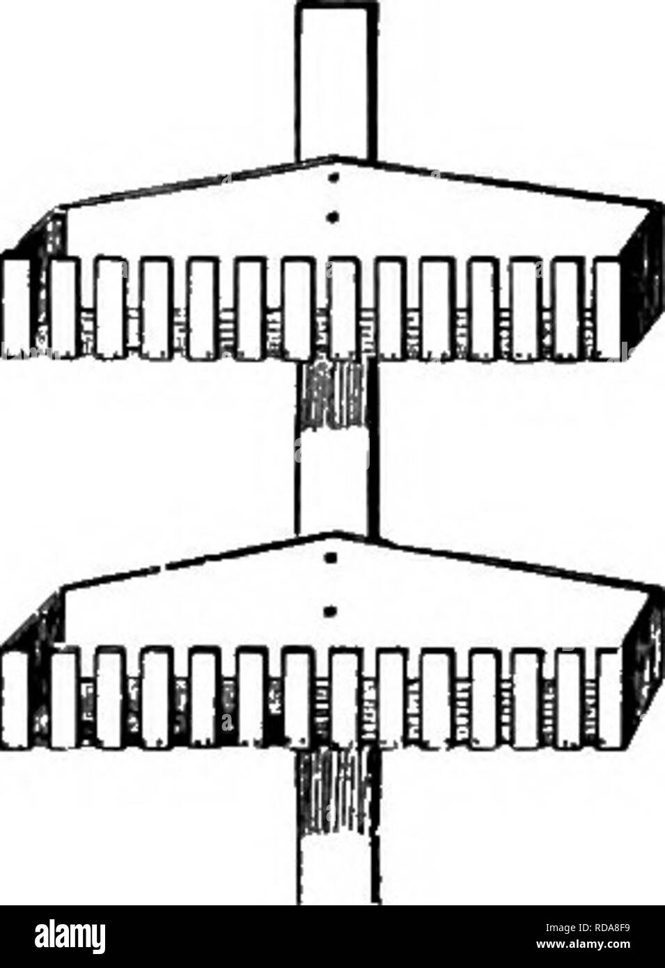 Branches used to support plants hi-res stock photography and images - Alamy