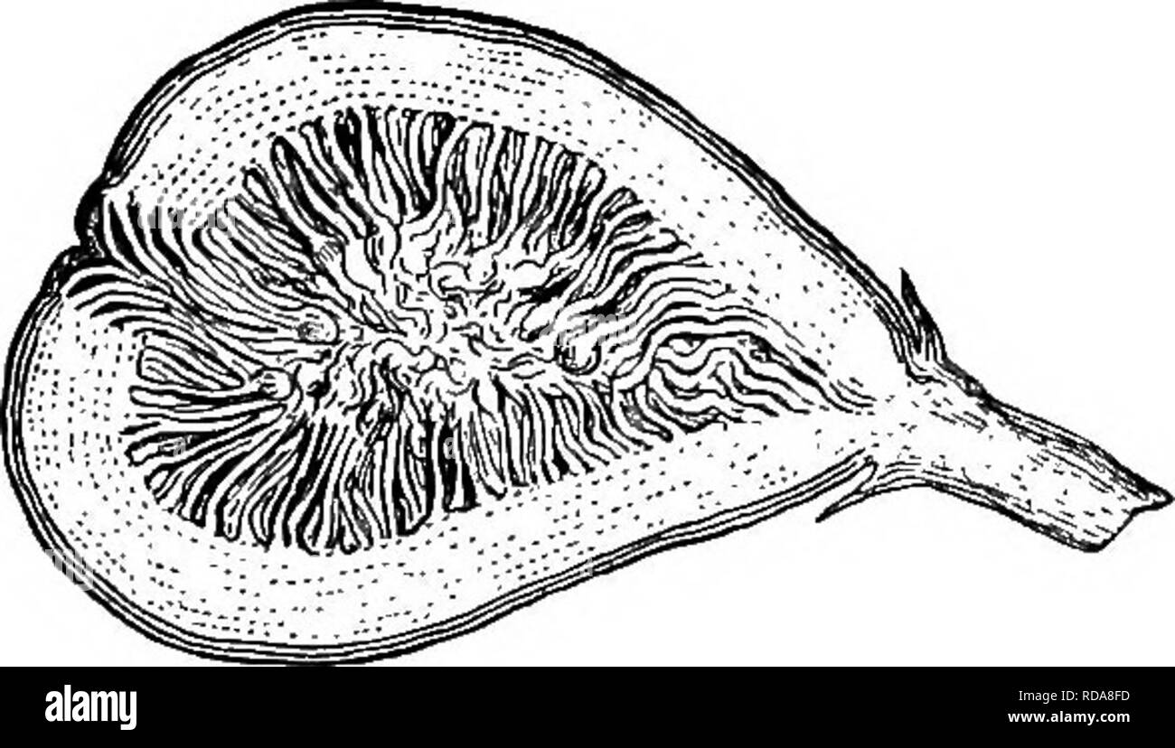 Stigmatic surface hi-res stock photography and images - Alamy