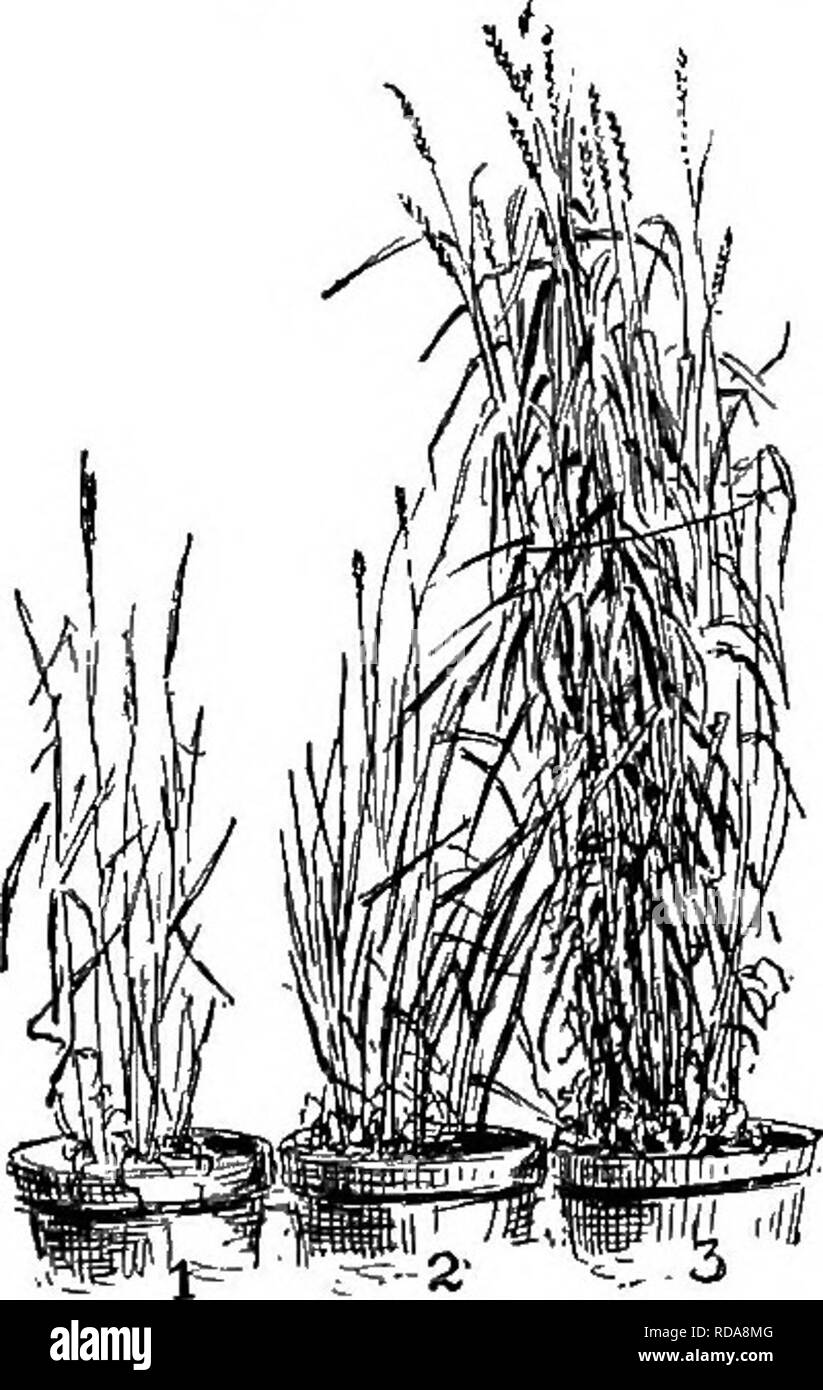 Anchorage anc hi-res stock photography and images - Alamy